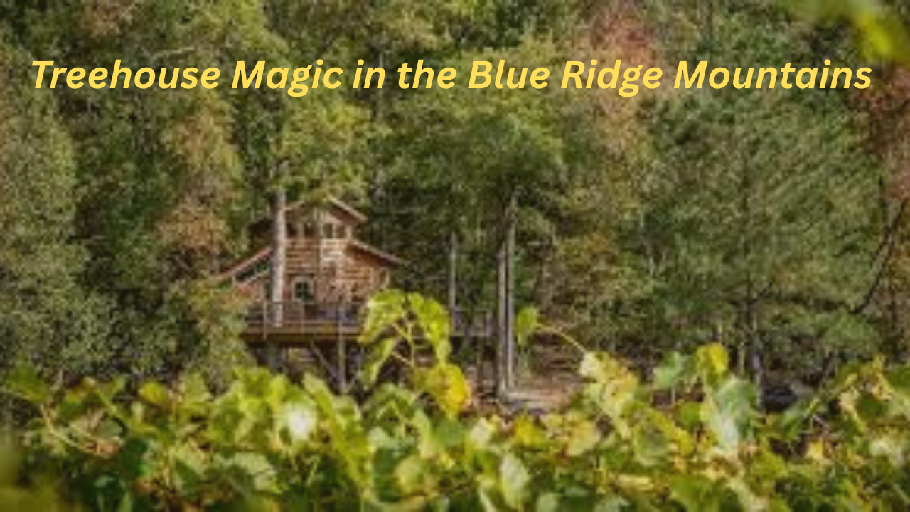 Treehouse Magic in the Blue Ridge Mountains - factsupdate1.com